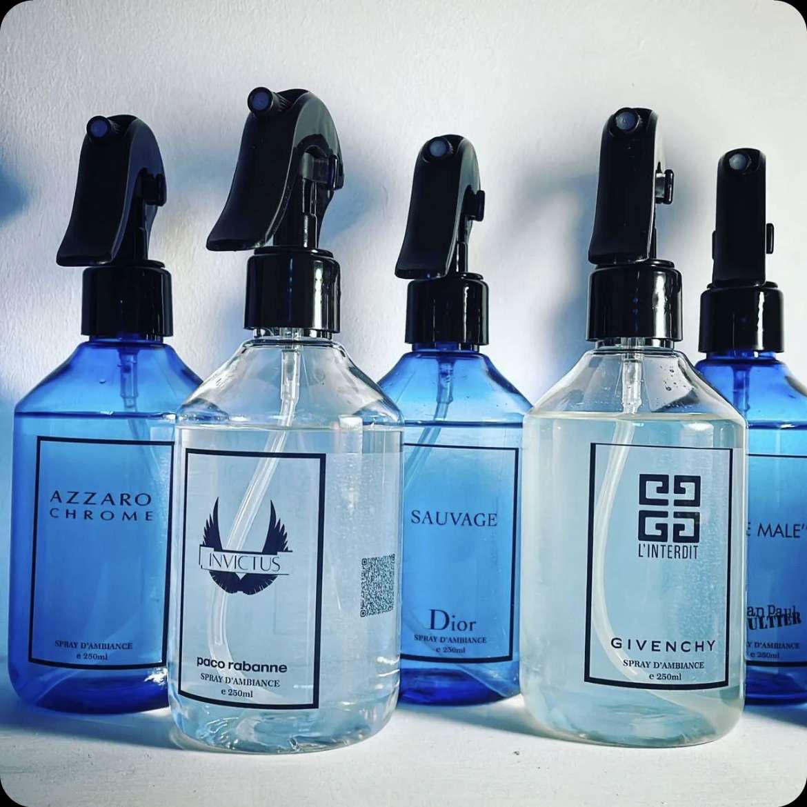 Spray d'ambiance - Parfum de poche 33ml